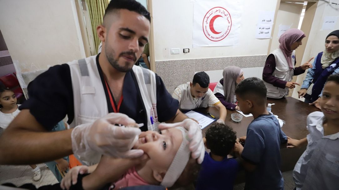 What's happening in Gaza? A desperate humanitarian crisis