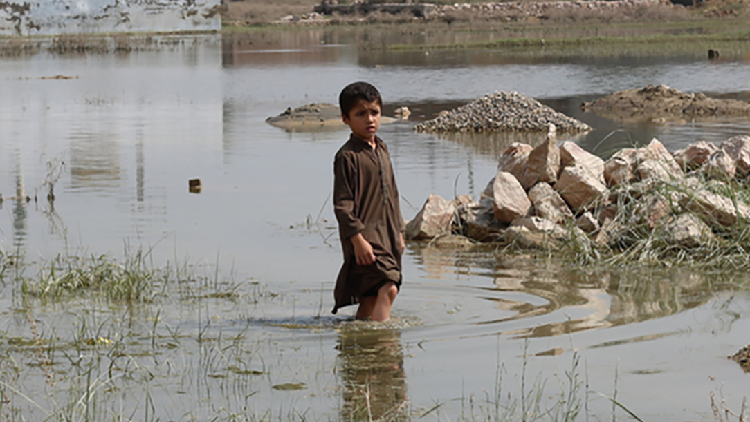 British Red Cross Stories