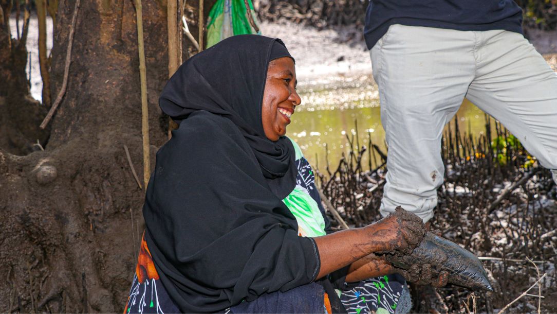 British Red Cross and WWF-UK partnership