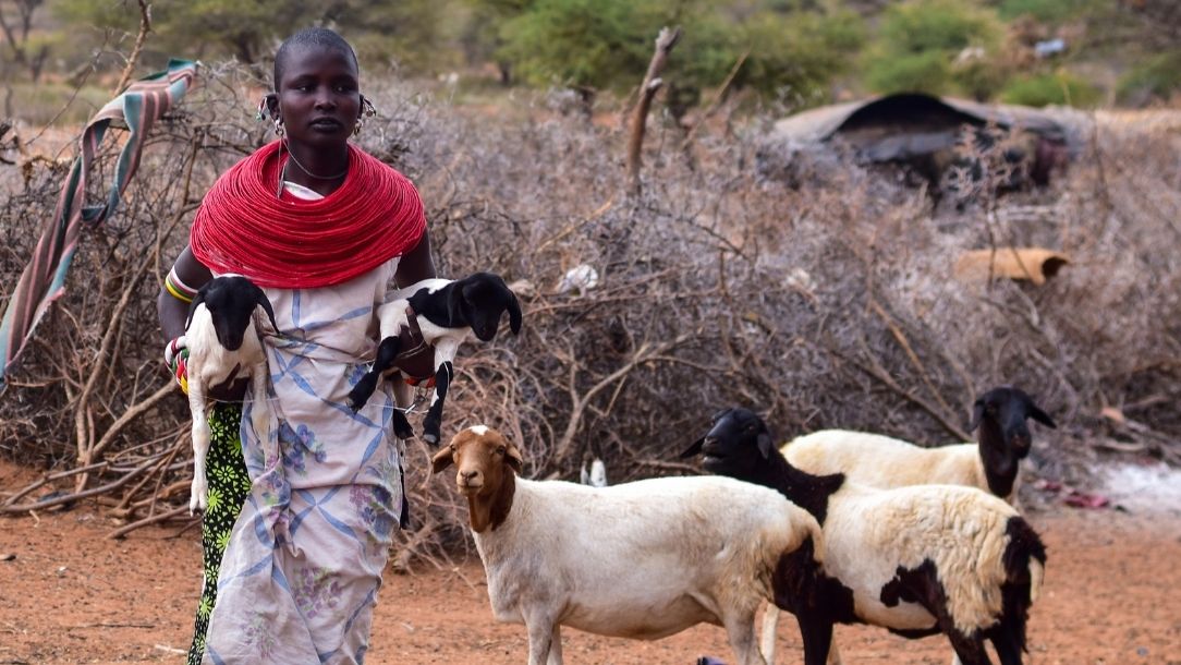 British Red Cross and WWF-UK partnership