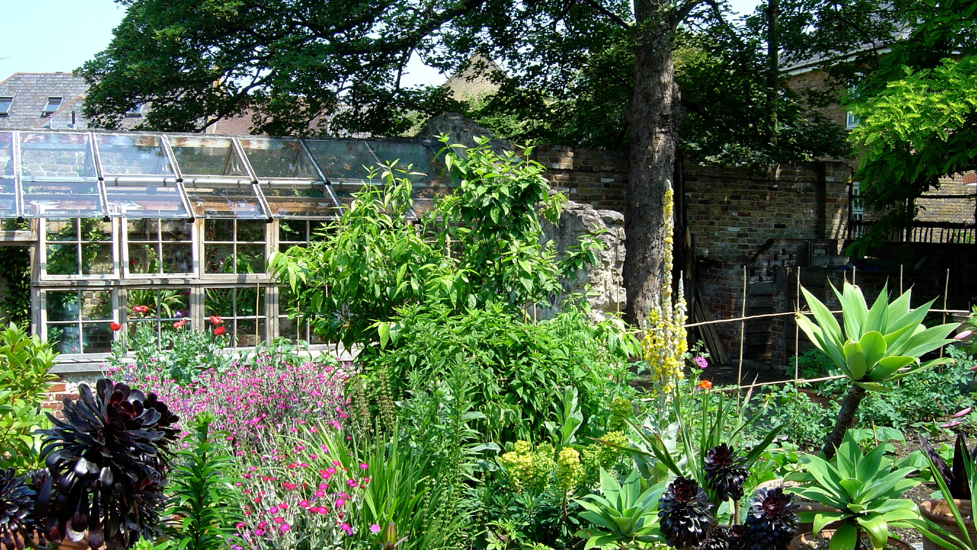 Visit Open Gardens 2025 | British Red Cross