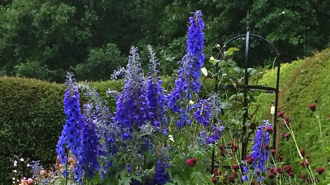 Find an Open Garden near you | British Red Cross